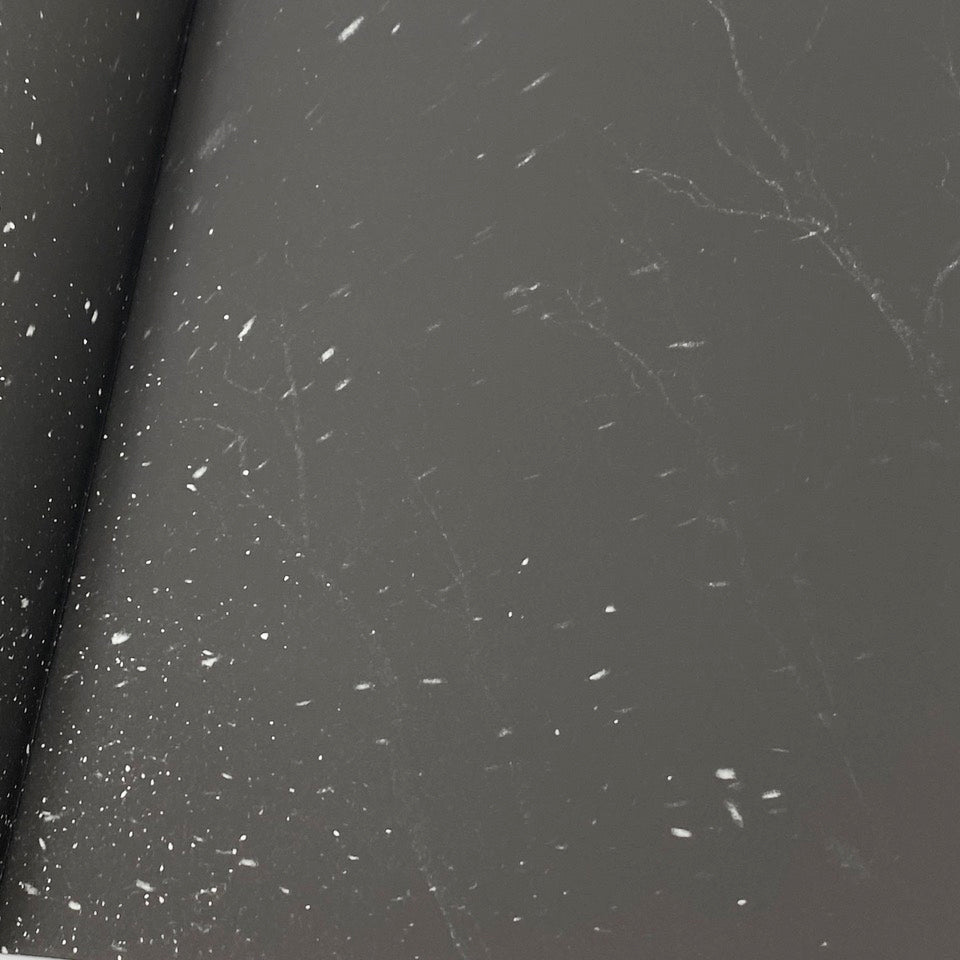 Night Rider Tomonori "rip" Tanaka – SUPER LABO