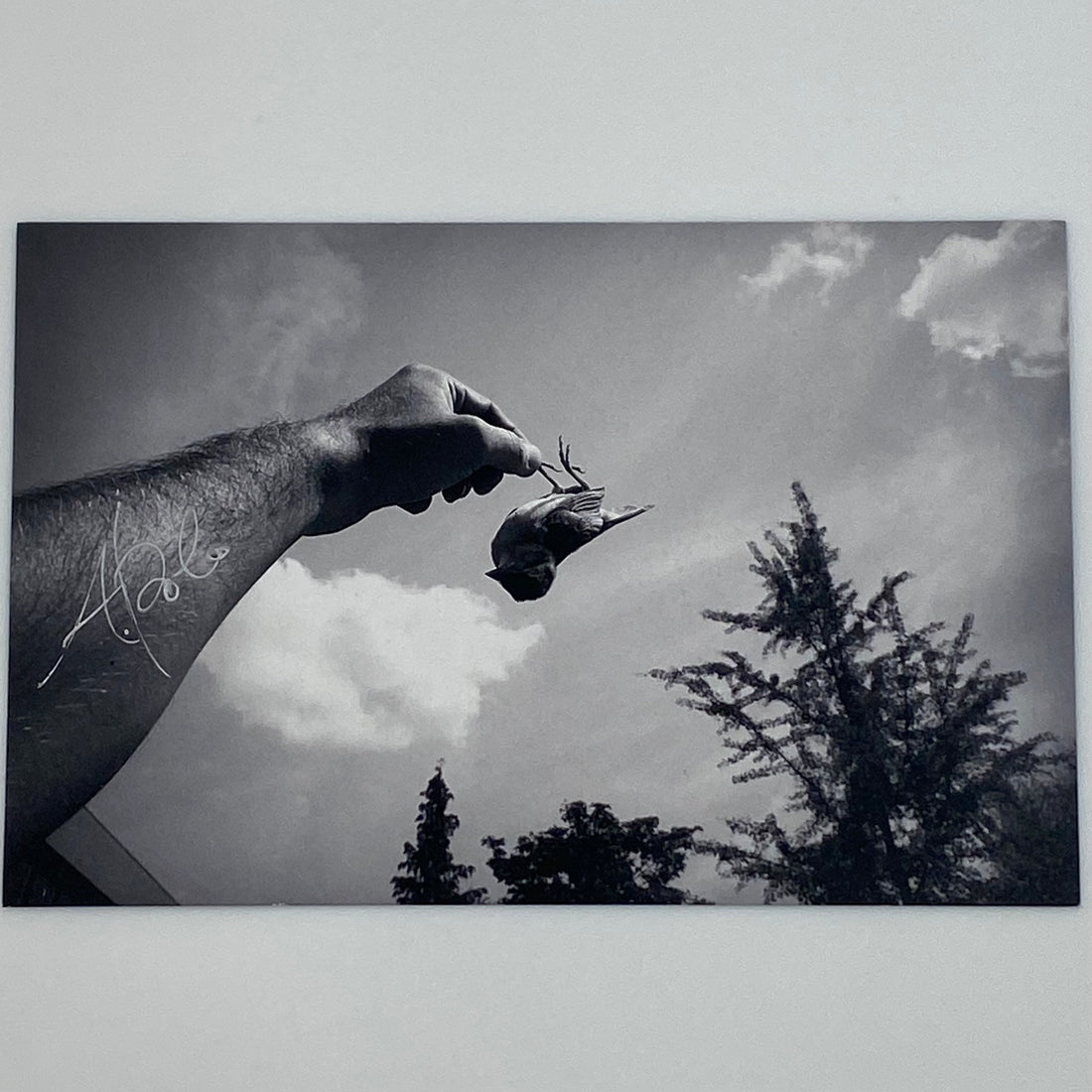 Photo-Cards – SUPER LABO