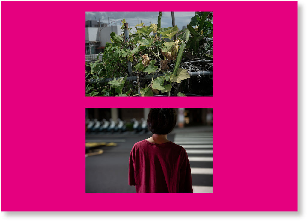 KAOHSIUNG STORY / 高雄物語 Meisa Fujishiro (藤代冥砂) – SUPER LABO